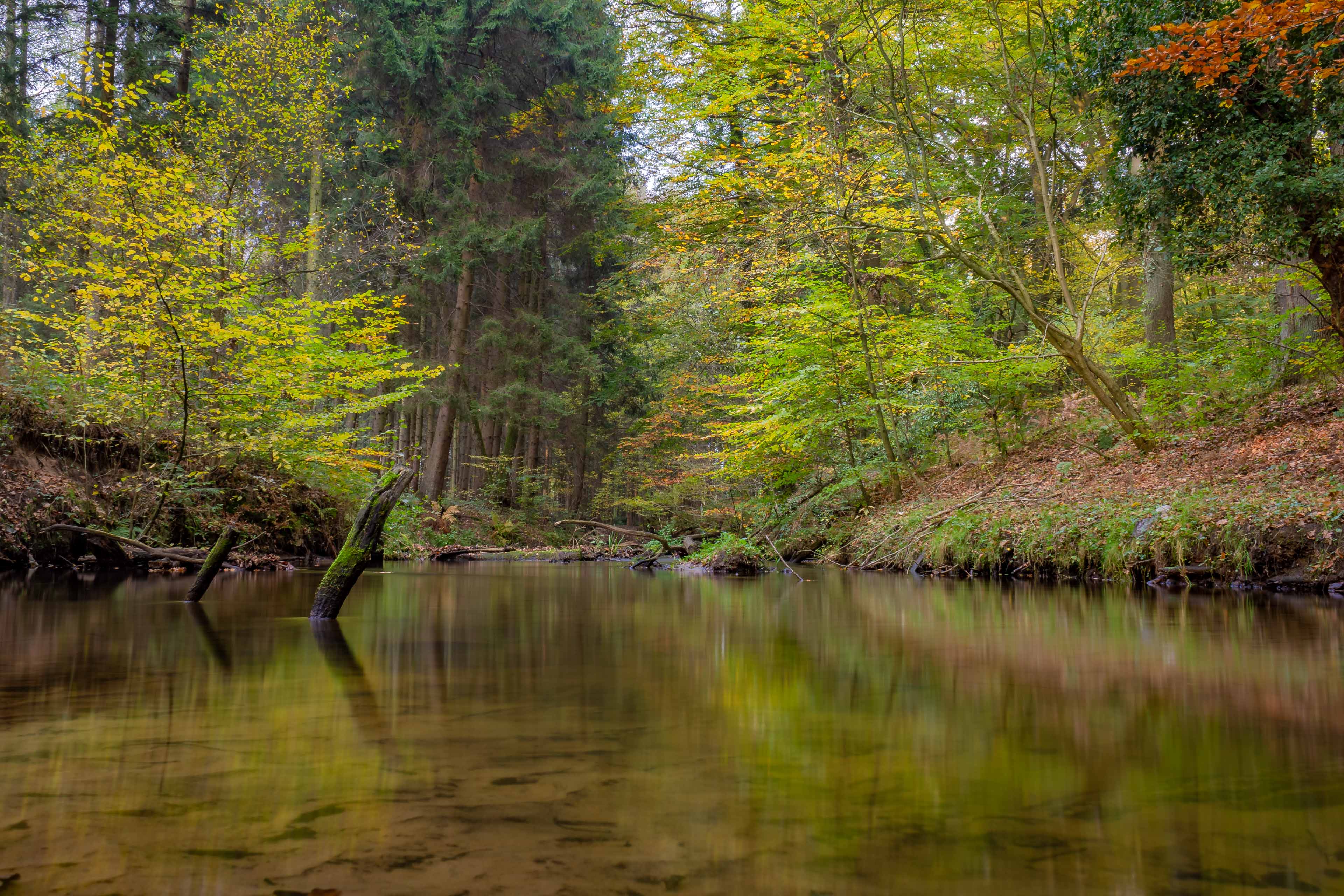 Hintergrundbilder | Bach im Wald